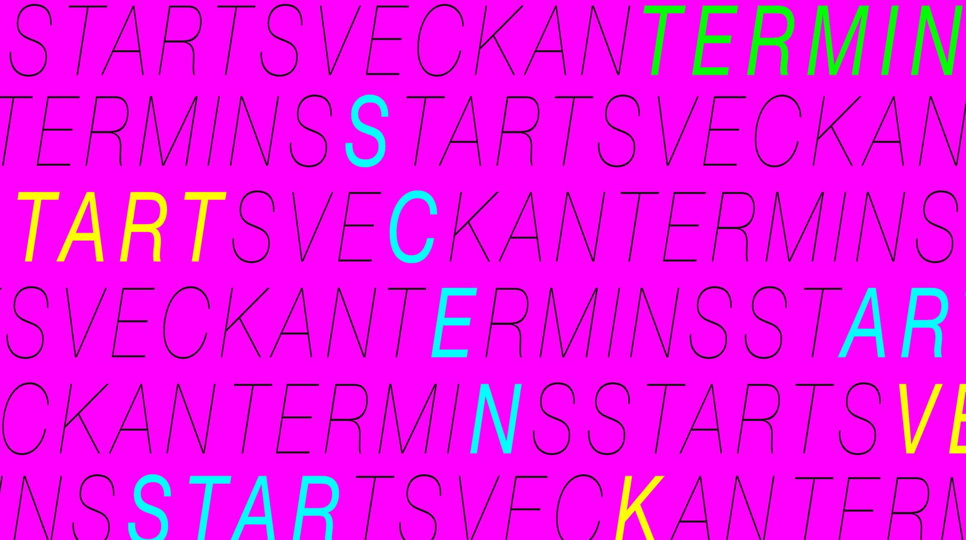 A thousand artistic possibilities in a uniquely multi-faceted ...